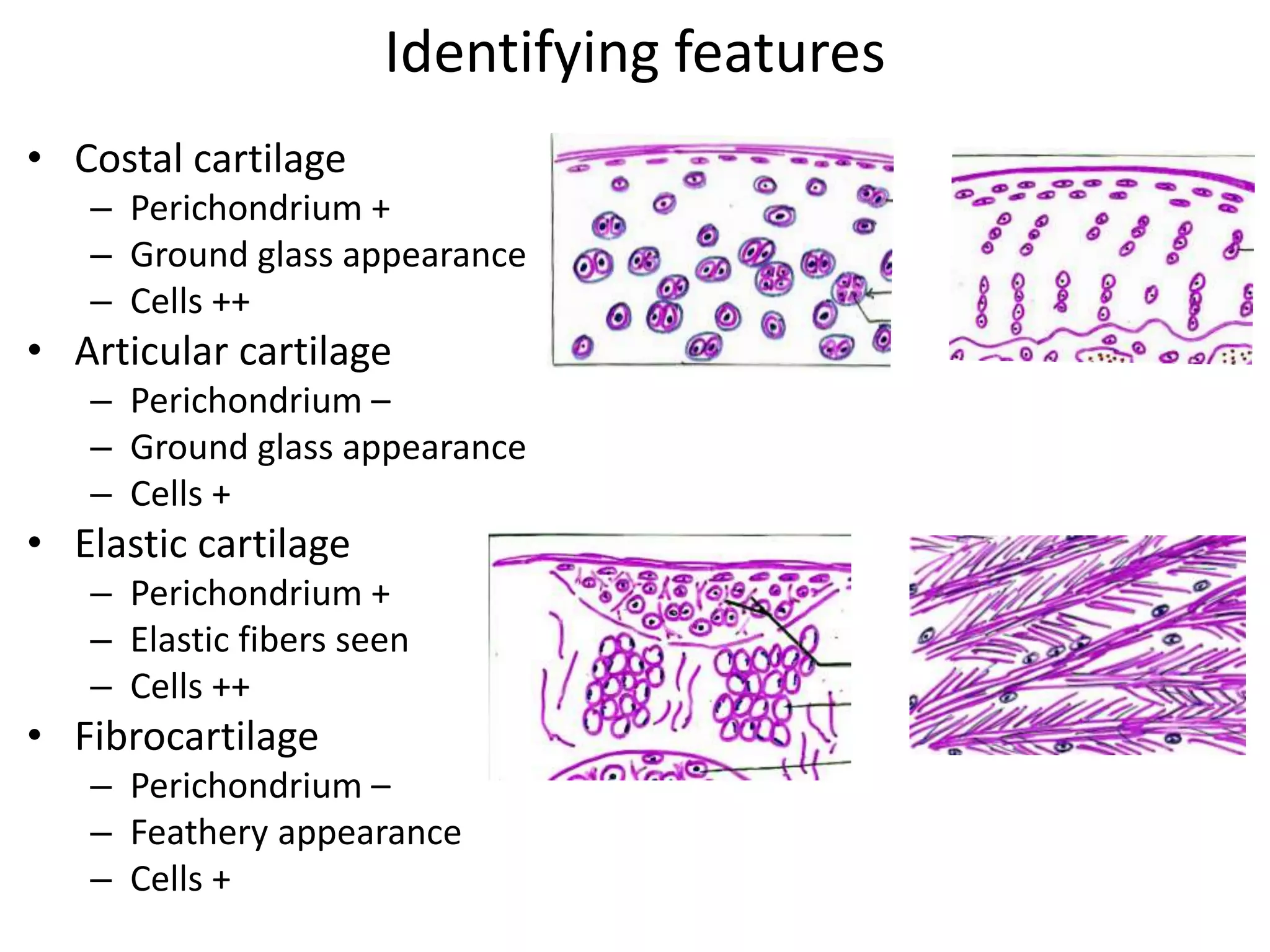 Cell & tissue nursing | PPTX