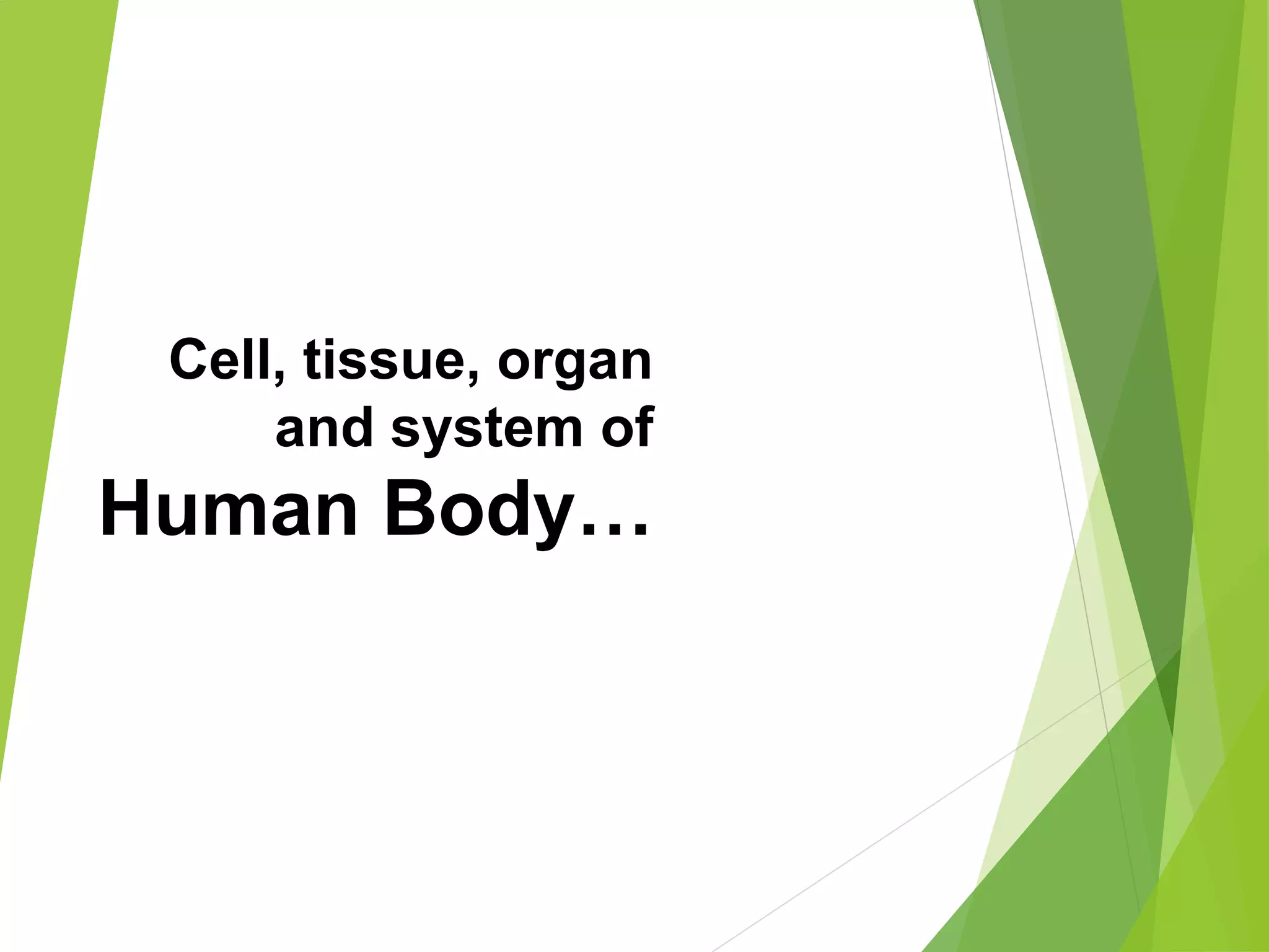 Basics of Body Cell | PPT