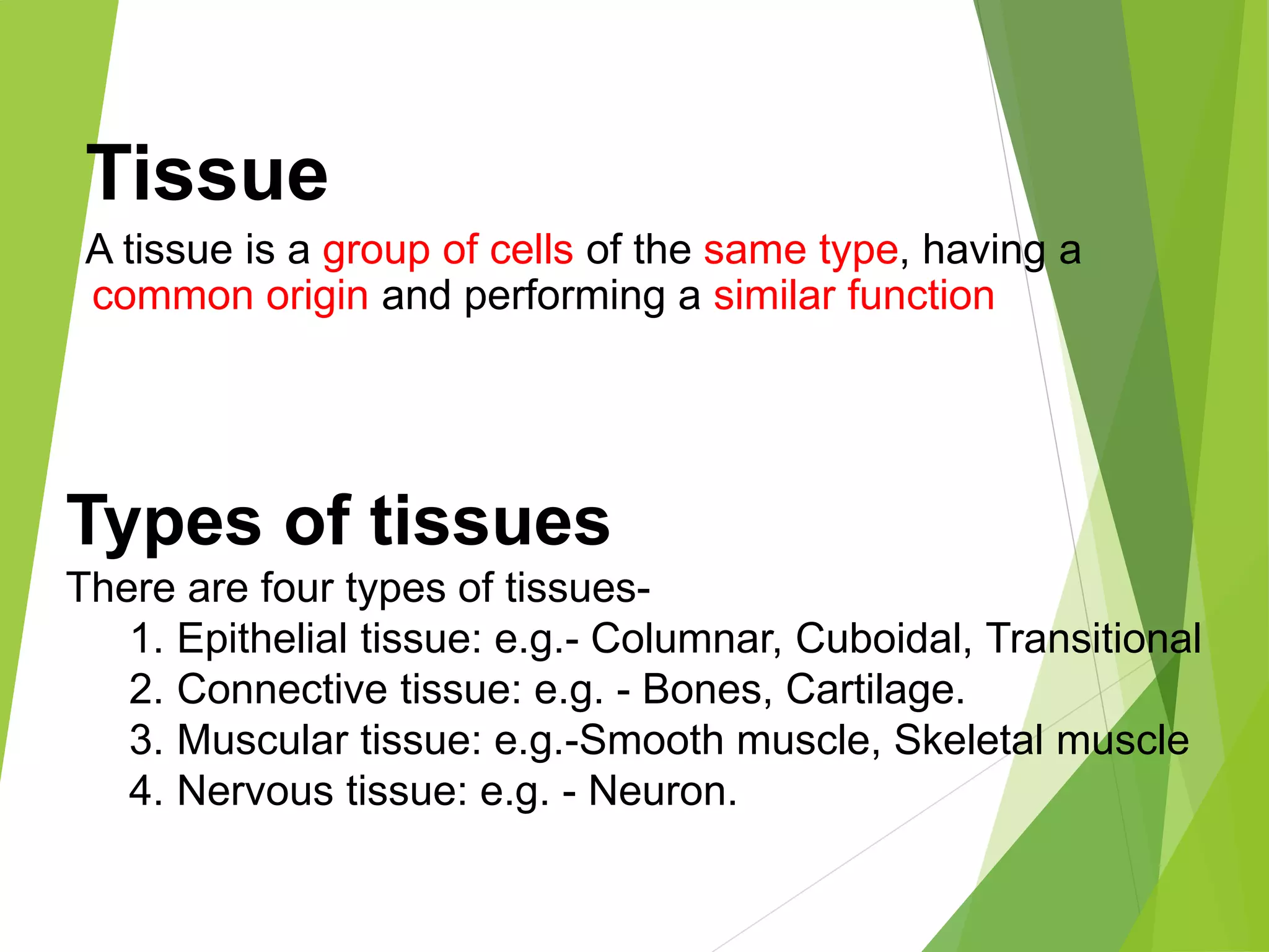 Basics of Body Cell | PPT