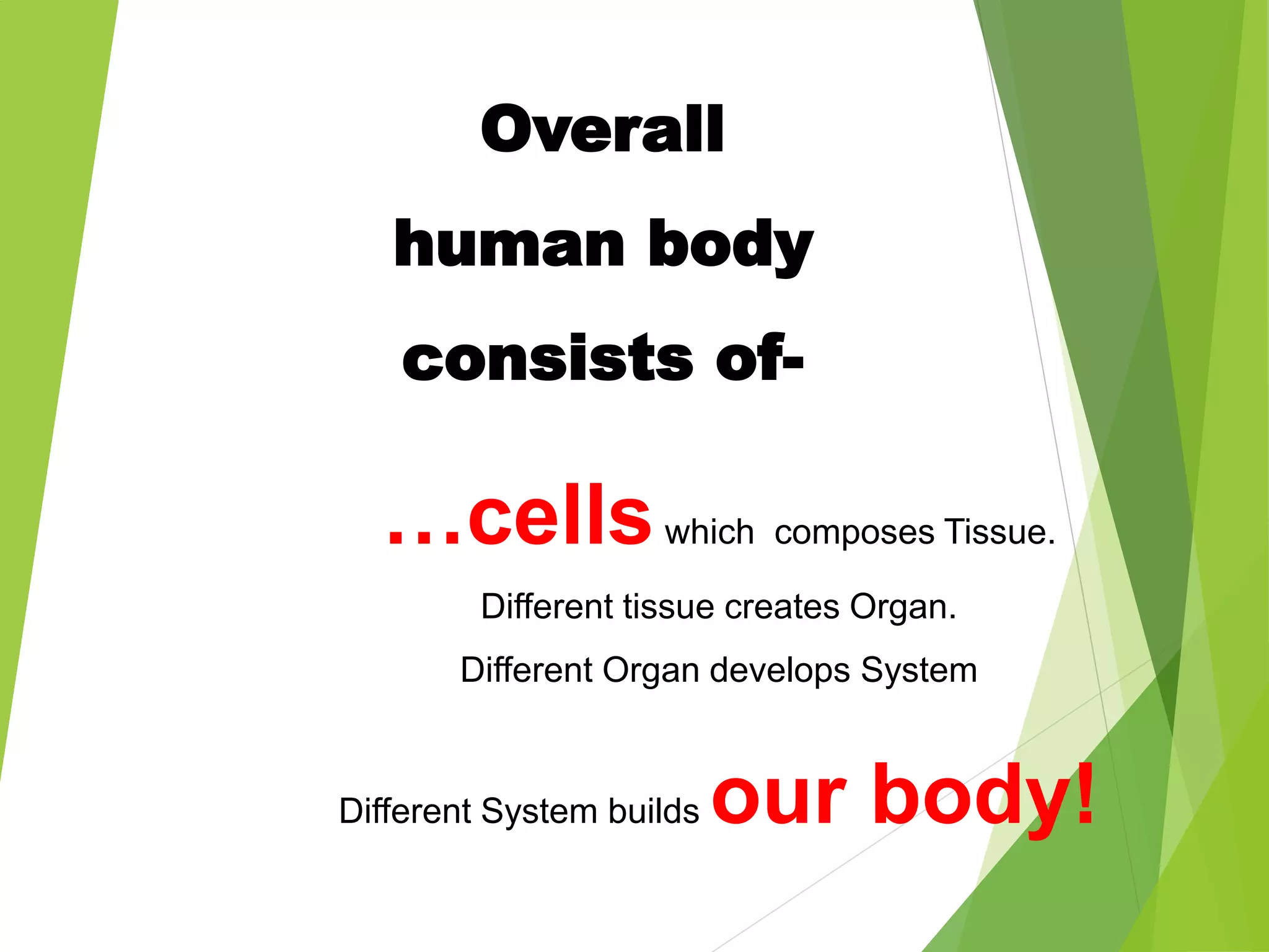 Basics of Body Cell | PPT