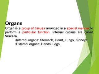Basics of Body Cell | PPT