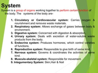 Basics of Body Cell | PPT