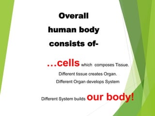 Basics of Body Cell | PPT