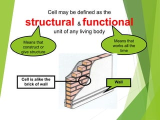 Basics of Body Cell | PPT