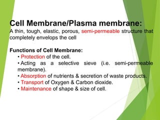 Basics of Body Cell | PPT