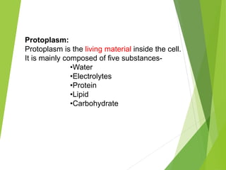 Basics of Body Cell | PPT