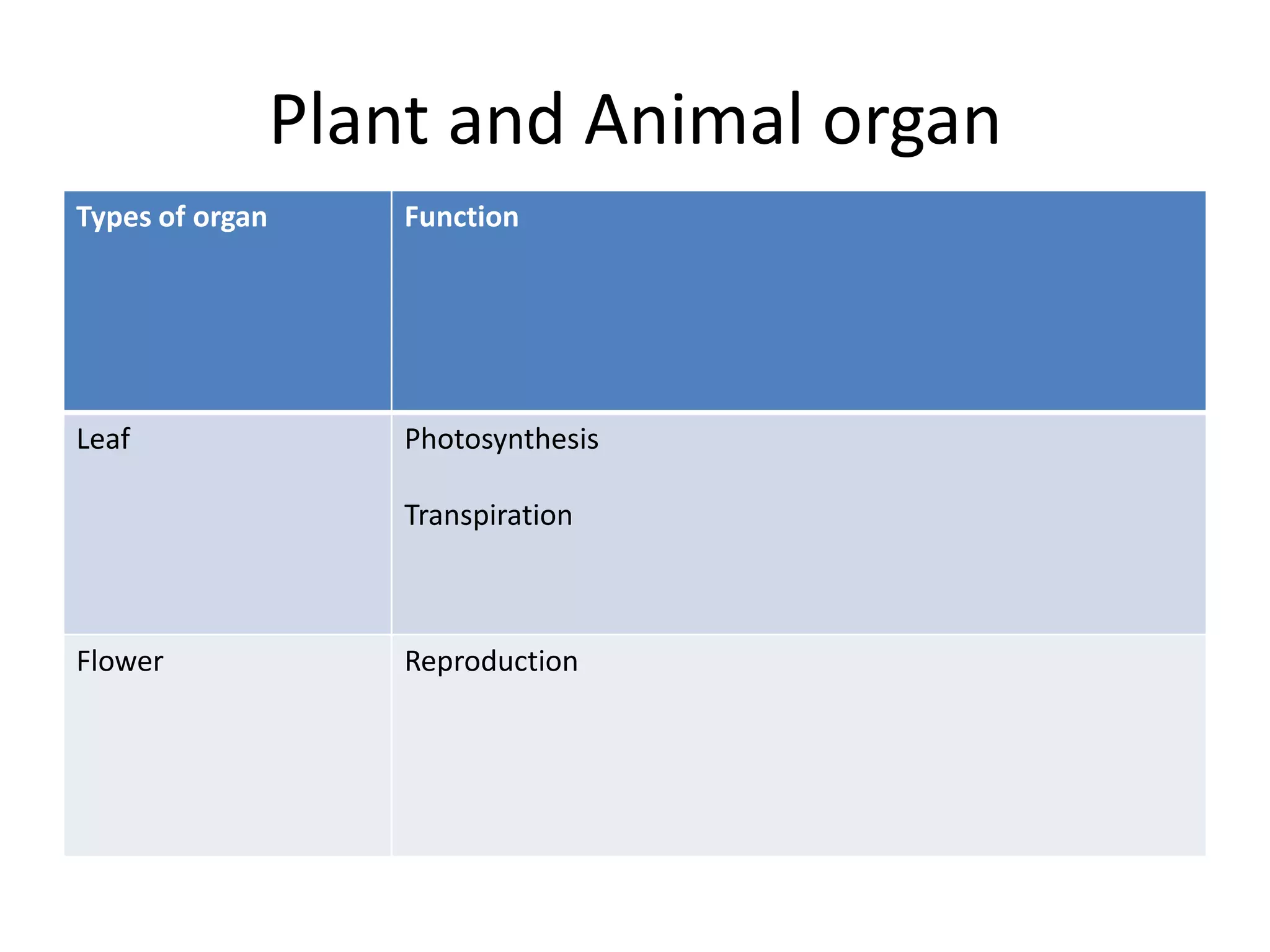 Cell tissues and organs | PPTX