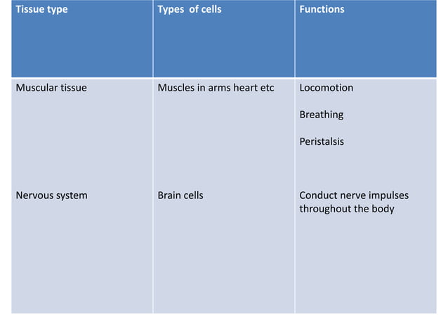 Cell tissues and organs | PPTX