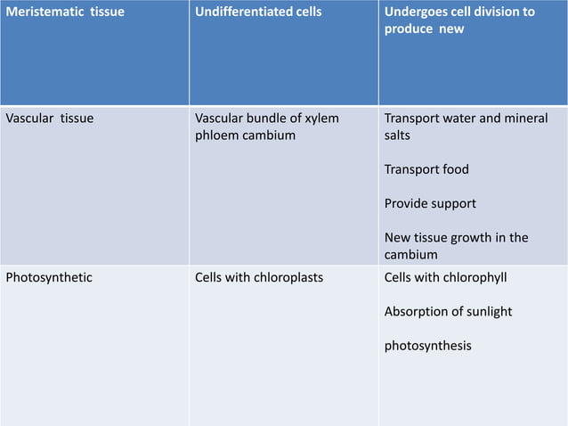 Cell tissues and organs | PPTX