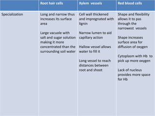 Cell tissues and organs | PPTX