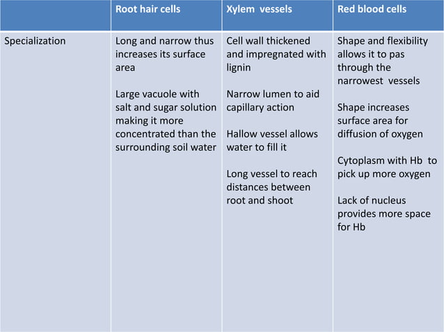 Cell tissues and organs | PPTX