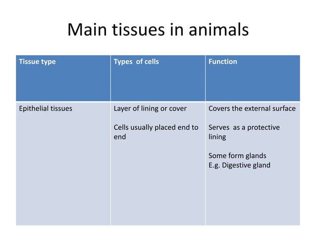 Cell tissues and organs | PPTX