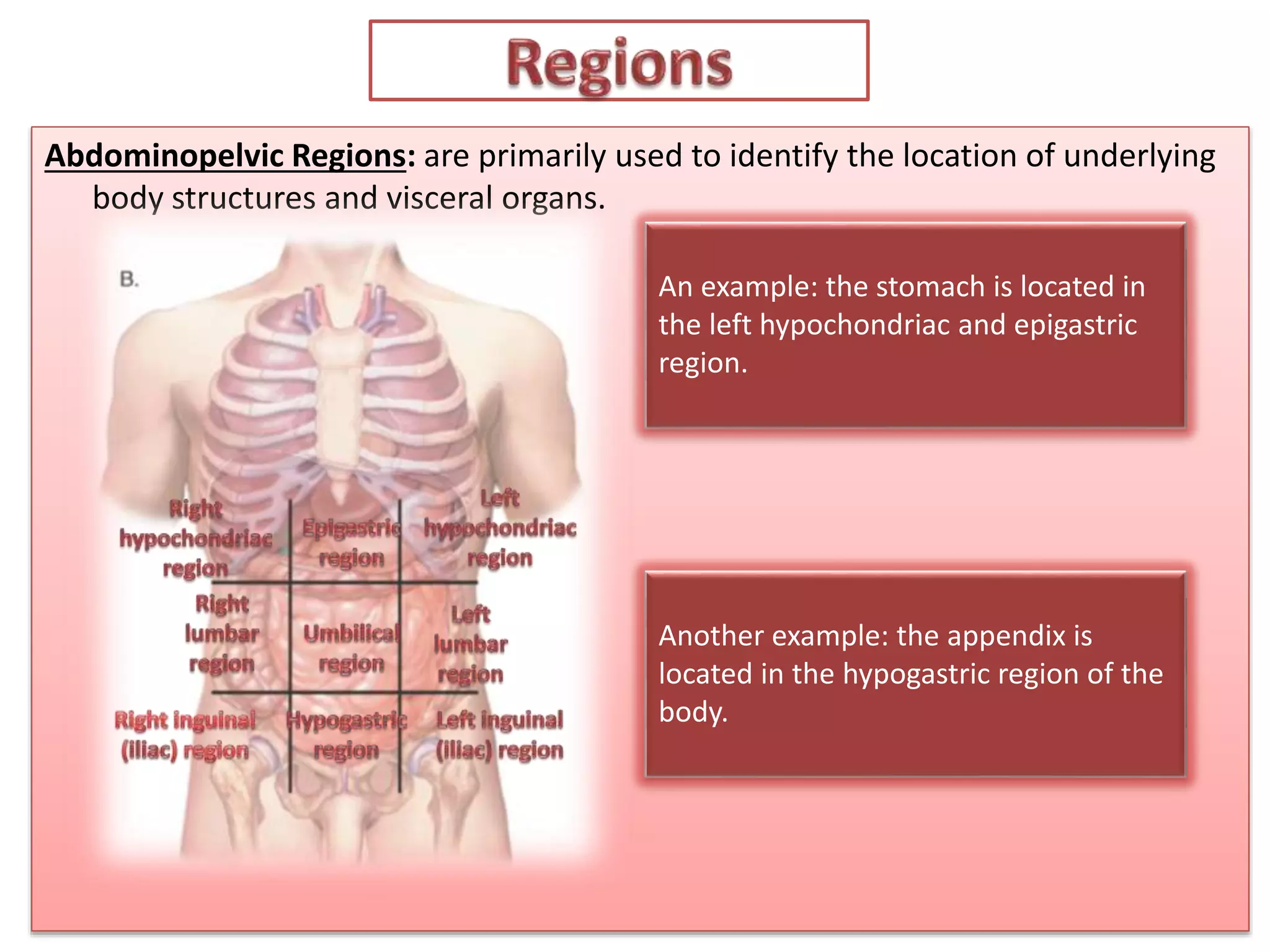 Cell, tissues, organs , systems.... | PPTX