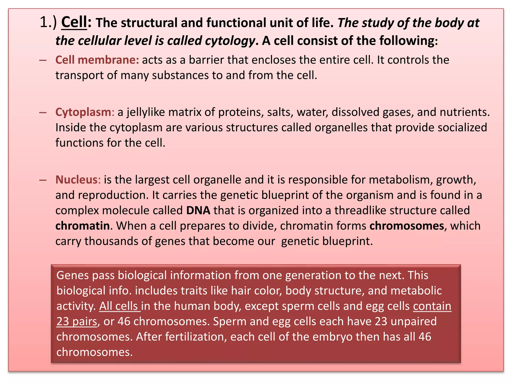 Cell, tissues, organs , systems.... | PPTX