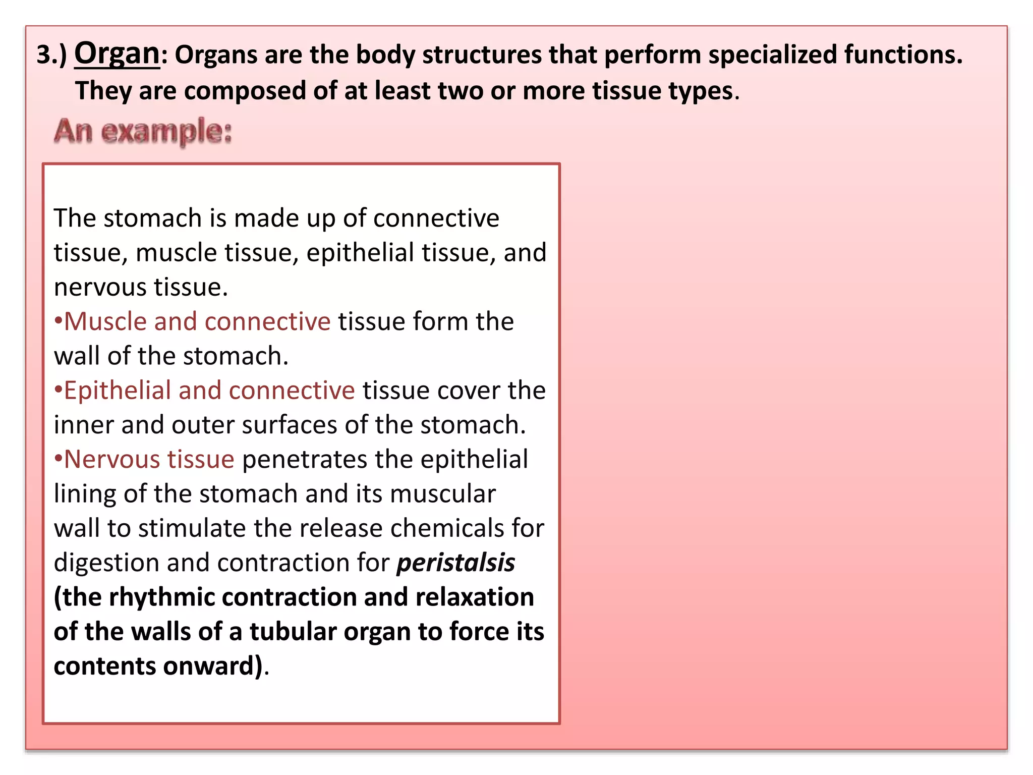 Cell, tissues, organs , systems.... | PPTX