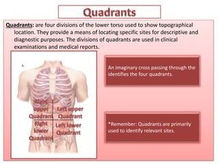 Cell, tissues, organs , systems.... | PPTX