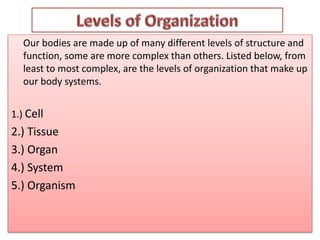 Cell, tissues, organs , systems.... | PPTX