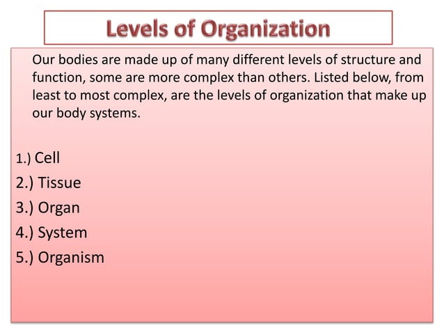 Cell, tissues, organs , systems.... | PPTX