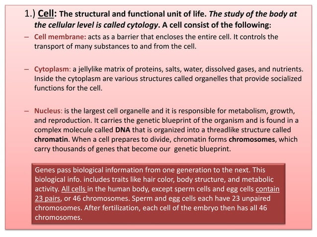 Cell, tissues, organs , systems.... | PPTX