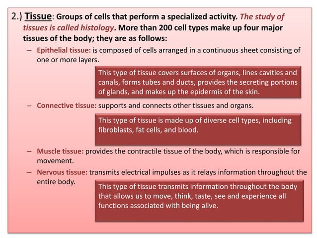 Cell, tissues, organs , systems.... | PPTX