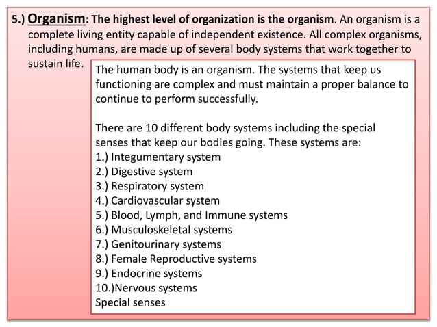 Cell, tissues, organs , systems.... | PPTX