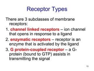 celltocellcommunication-101021235148-phpapp01.ppt | Endocrine and ...