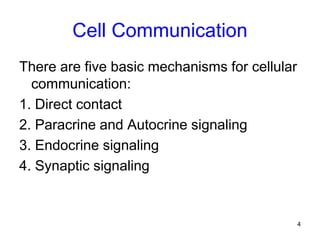 celltocellcommunication-101021235148-phpapp01.ppt | Endocrine and ...