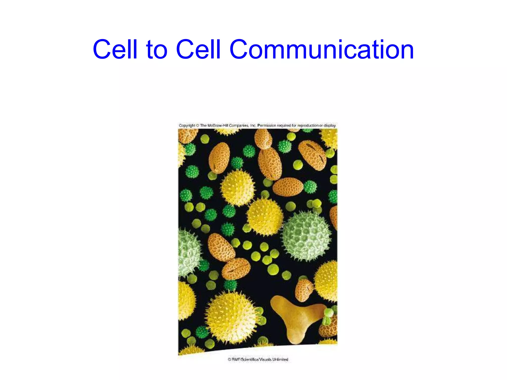 Cell to cell communication | PPT