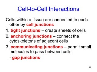 Cell to cell communication | PPT
