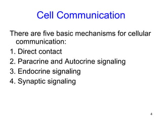 Cell to cell communication | PPT