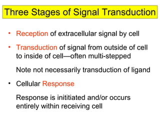 Cell to cell communication | PPT
