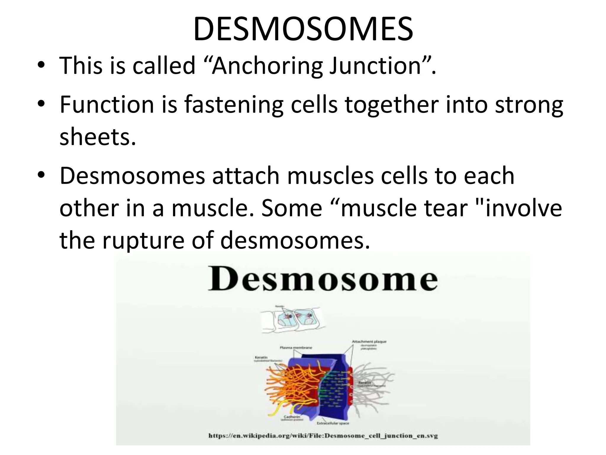 Cell to cell communication | PPTX