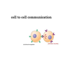 Cell to cell communication | PPTX