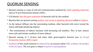 CELL - CELL COMMUNICATION WITHIN BACTERIAL POPULATION AND BIOFILMS,.pptx