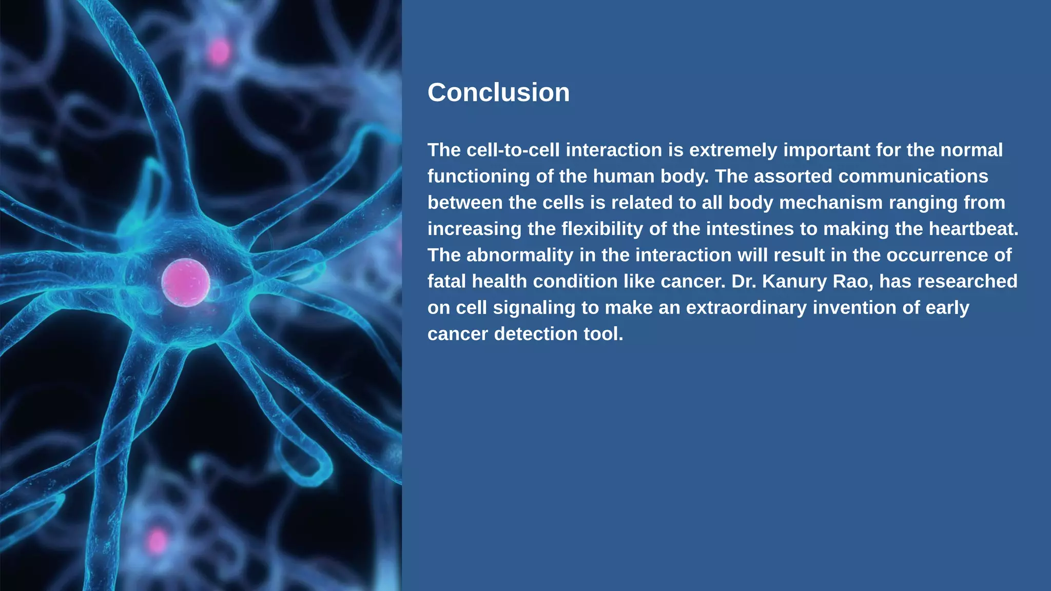 Cell to Cell Interactions – Dr. Kanury Rao.pptx