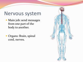 Cell to system gr.6 | PPTX