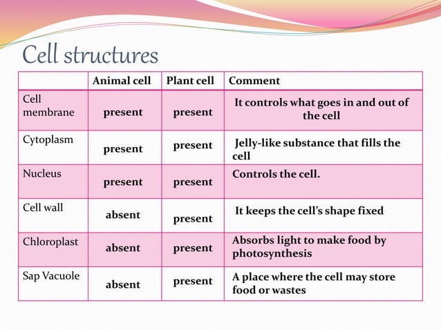 Cell to system gr.6 | PPTX | Lung and Respiratory Health | Diseases and ...