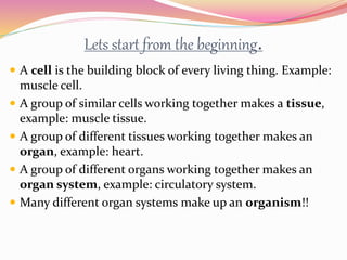 Cell to system gr.6 | PPTX