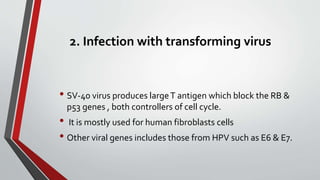 Cell transformation (how normal cell converted to cancerous cell) | PPT