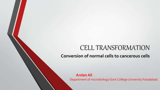 Cell transformation (how normal cell converted to cancerous cell) | PPTX