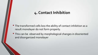 Cell transformation (how normal cell converted to cancerous cell) | PPT