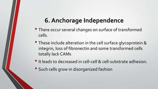 Cell transformation (how normal cell converted to cancerous cell) | PPT