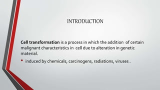 Cell transformation (how normal cell converted to cancerous cell) | PPT