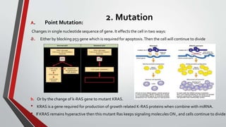 Cell transformation (how normal cell converted to cancerous cell) | PPT