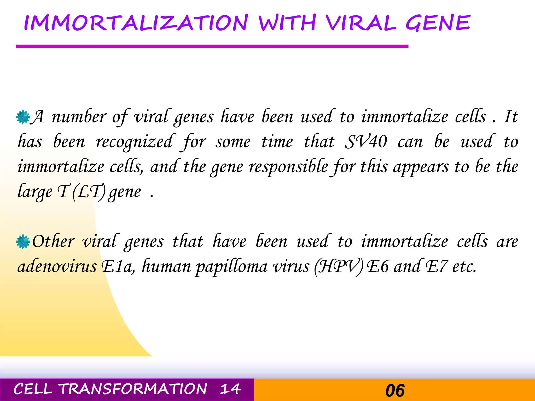 Cell transformation, by kk | PPT