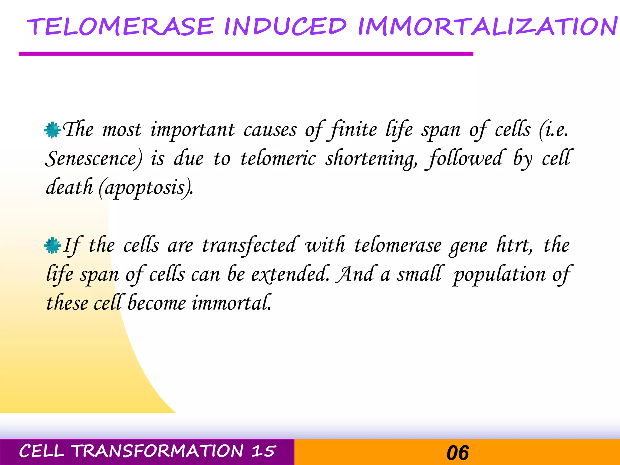 Cell transformation, by kk | PPT