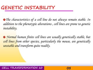 Cell transformation, by kk | PPT