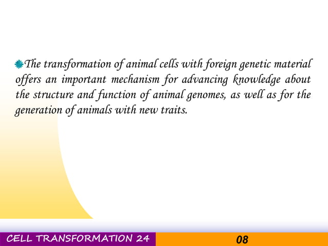 Cell transformation, by kk | PPT