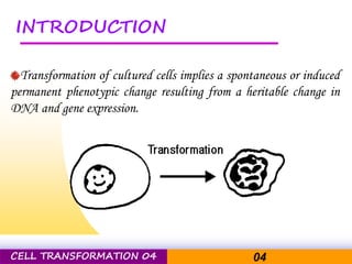 Cell transformation, by kk | PPT