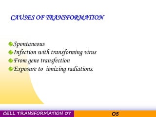 Cell transformation, by kk | PPT
